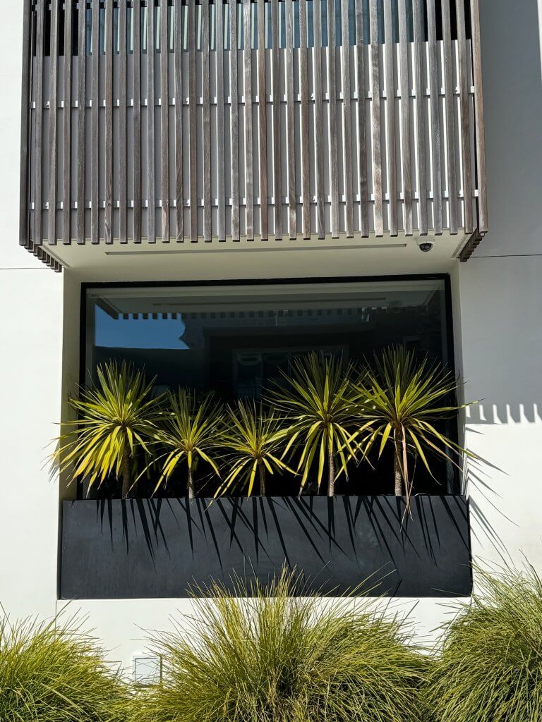 Architectural Design with Wood Brise Soleil