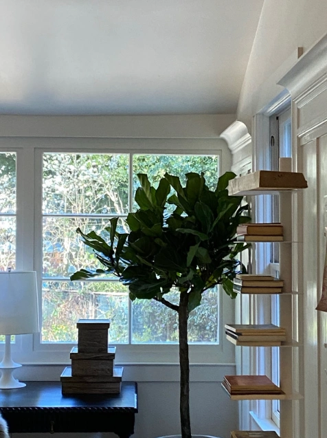 From Sample to Statement: Colonial Crown Moulding (or Molding) Speaks ...